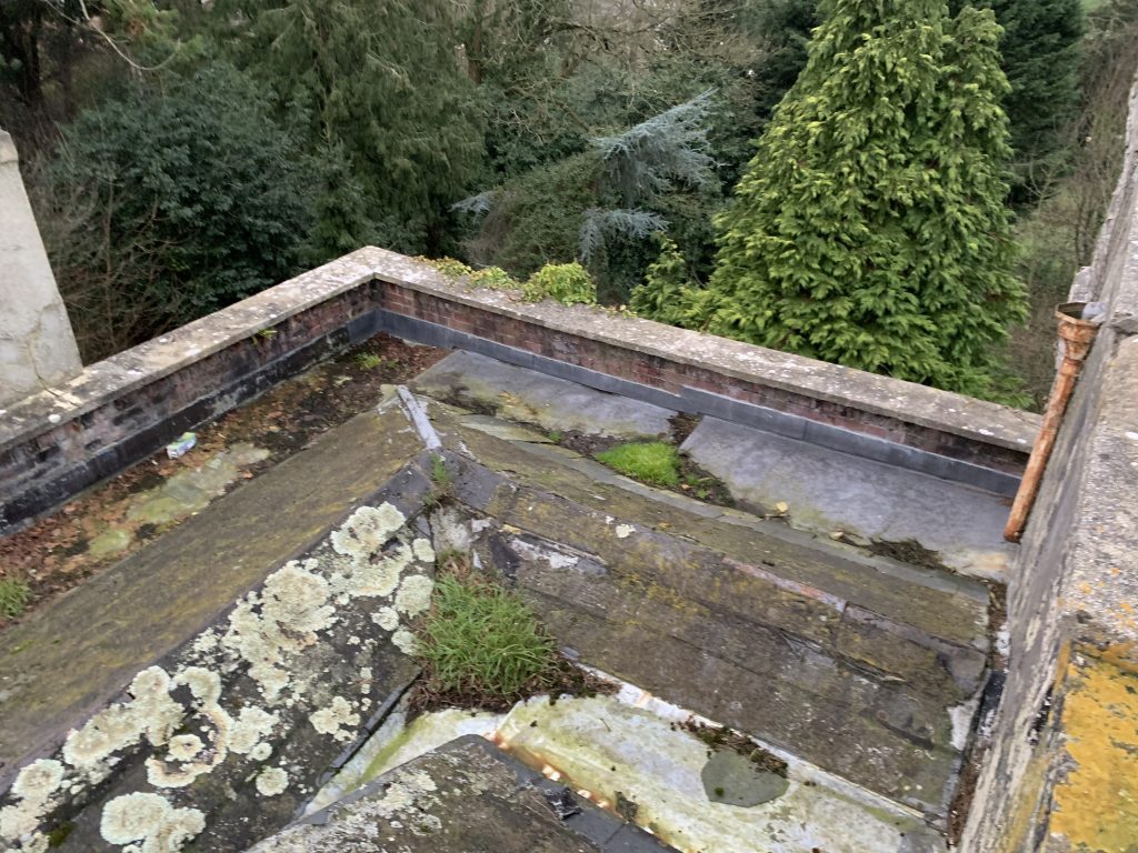 Explore Mountfield - Mountfield House