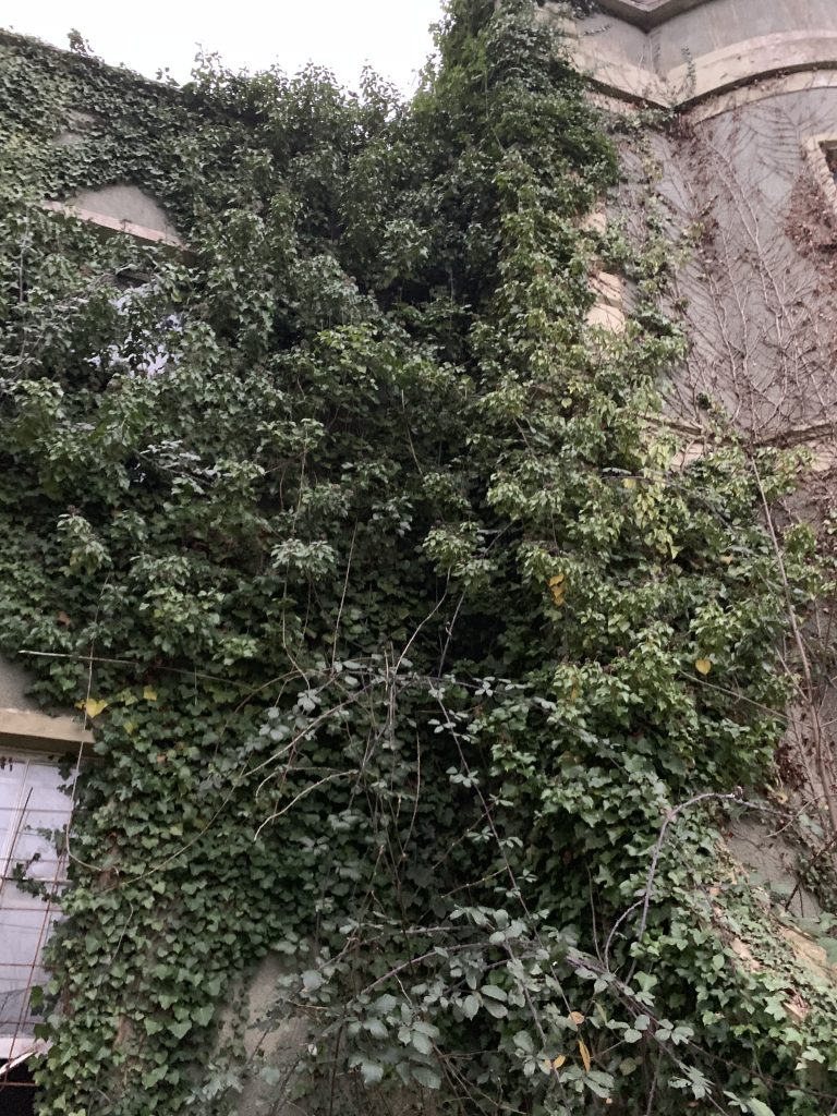 Explore Mountfield - Mountfield House