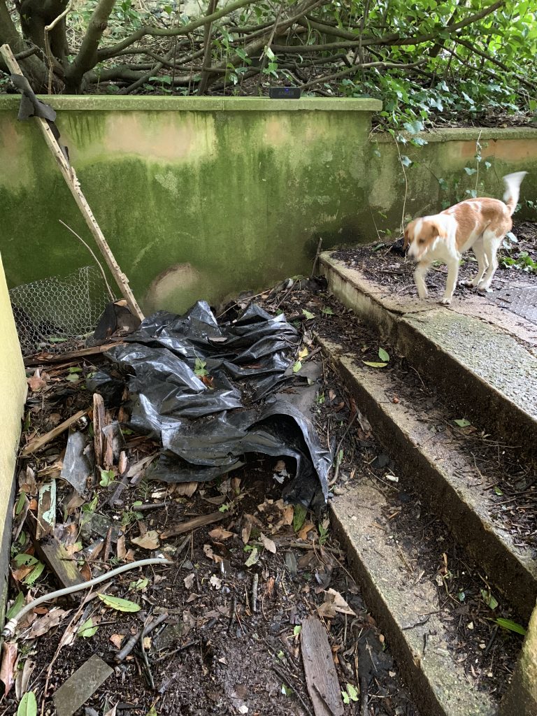 Explore Mountfield - Mountfield House